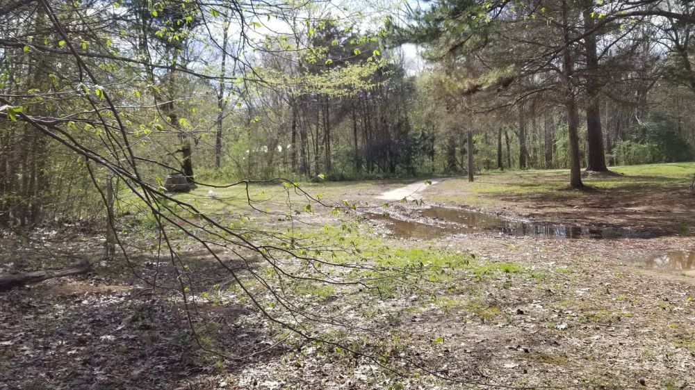 River Forest Park | Discover Durham