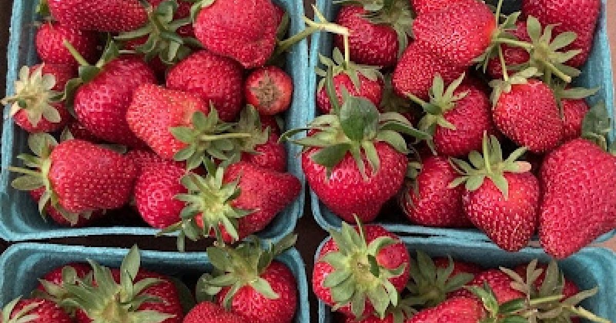Heeks Farm | Discover Durham