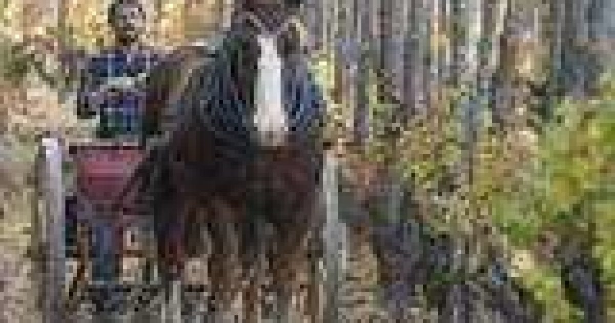 Pepe Raventós Wine Dinner | Discover Durham