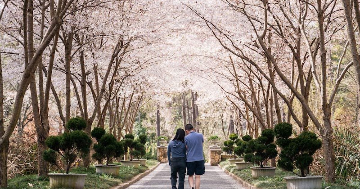 The Ultimate Durham Spring Guide | Discover Durham