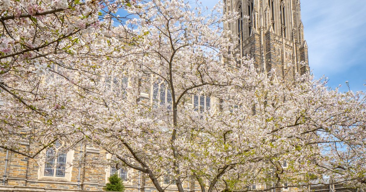 Dementia-Friendly Durham Guide | Discover Durham