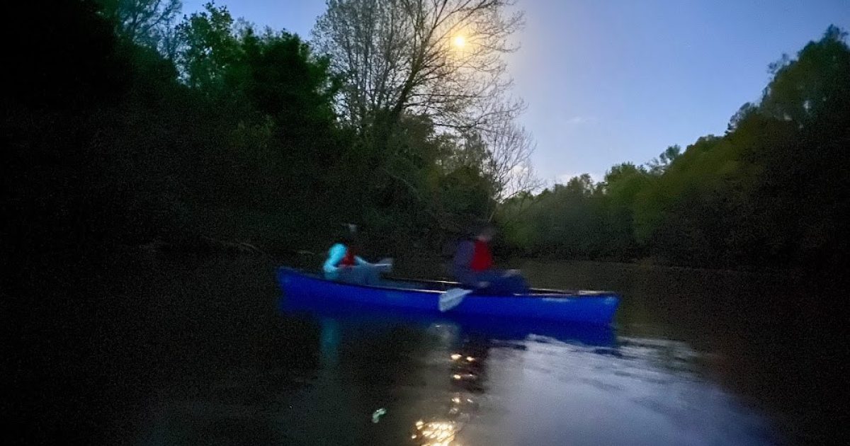 Let's Chat About the Stars Paddle | Discover Durham