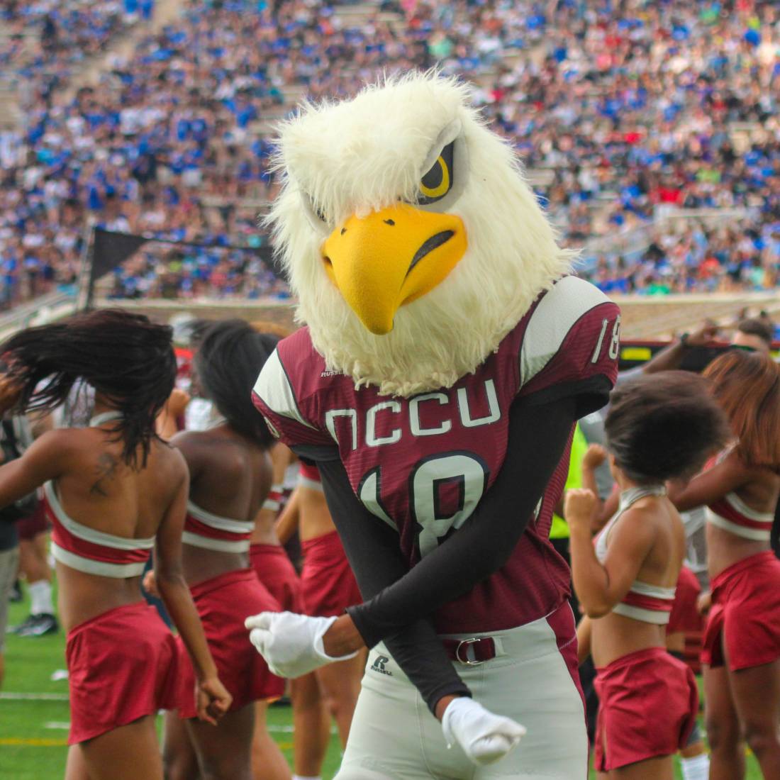 Colleges & Universities | Discover Durham