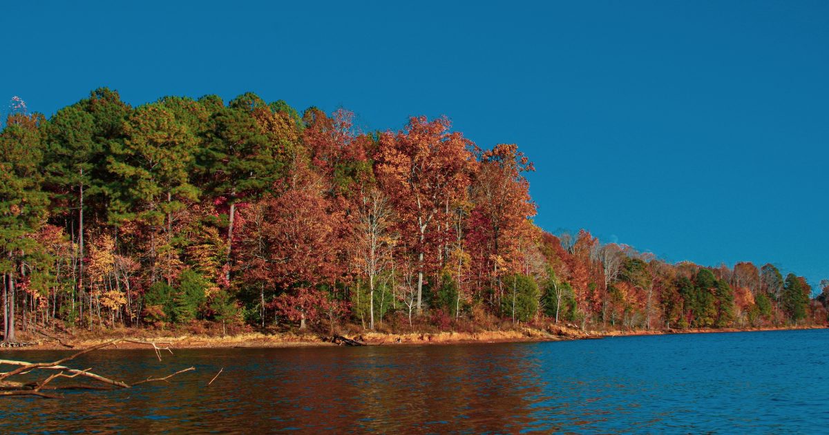 Discover Durham's Accessible Outdoor Activities | Discover Durham