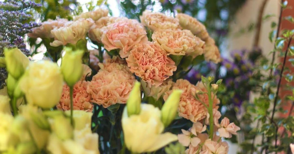 Dormant Plant Parlor | Discover Durham