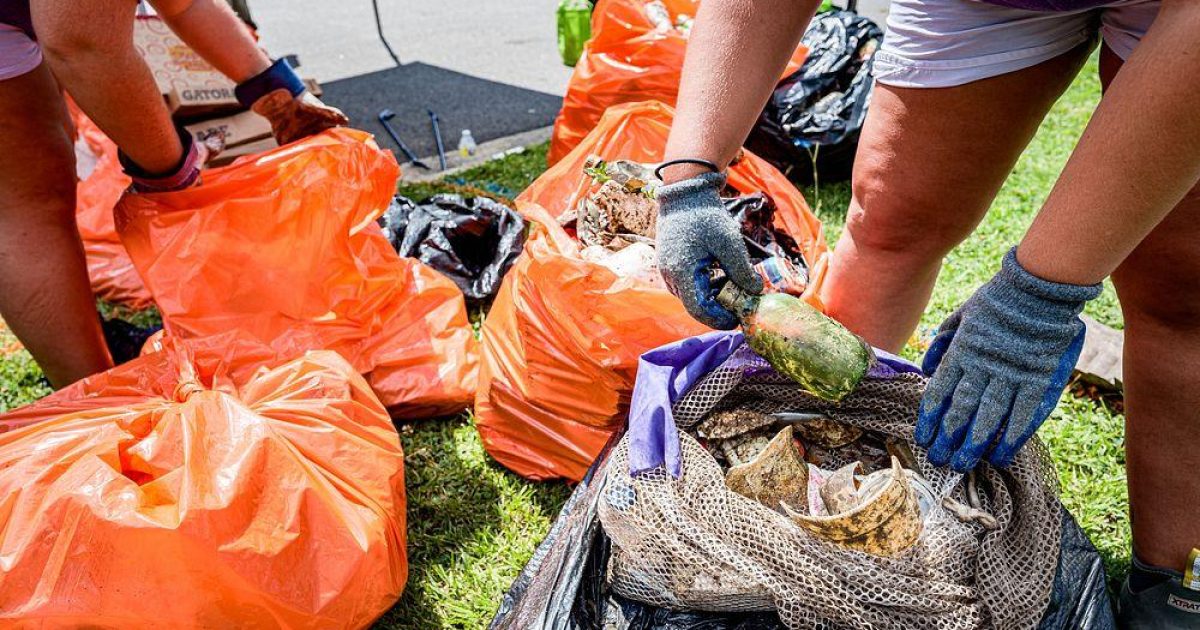 Hickory Hill Shoreline Clean-Up | Discover Durham